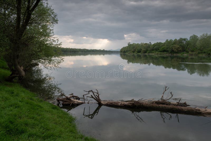 Tree Log in River during Overcast Day Stock Image - Image of season ...