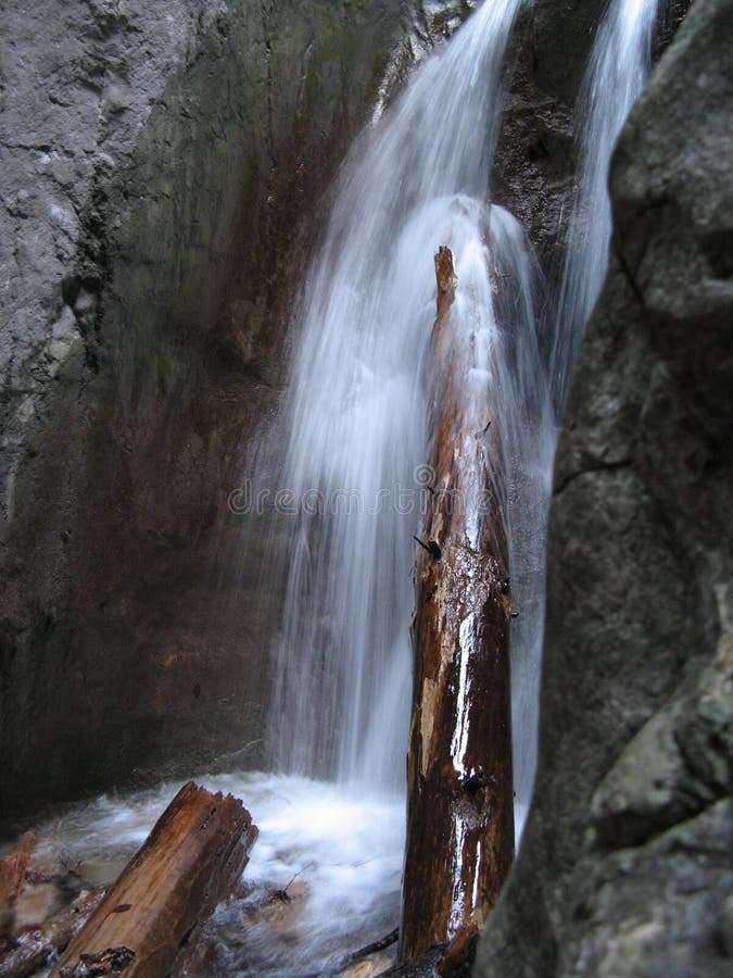 A Tree Log Under a Waterfall Stock Photo - Image of waterfalls, water ...