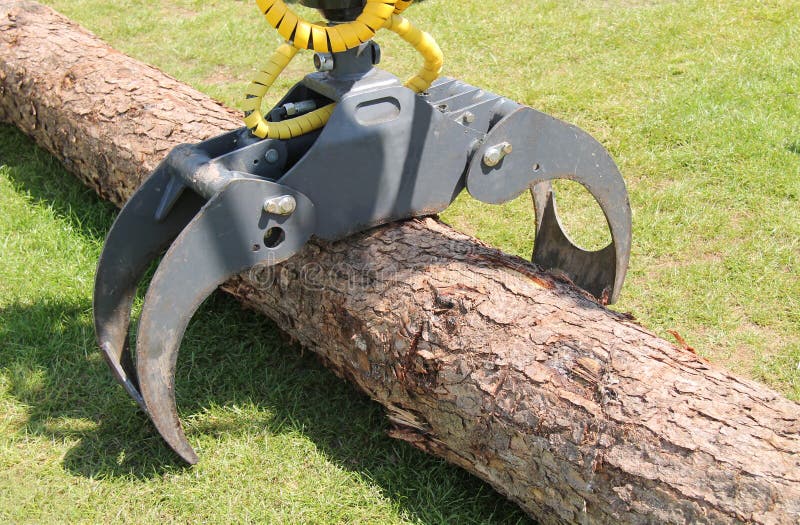 Tree Logger. stock image. Image of strength, unload, lumber - 57627327