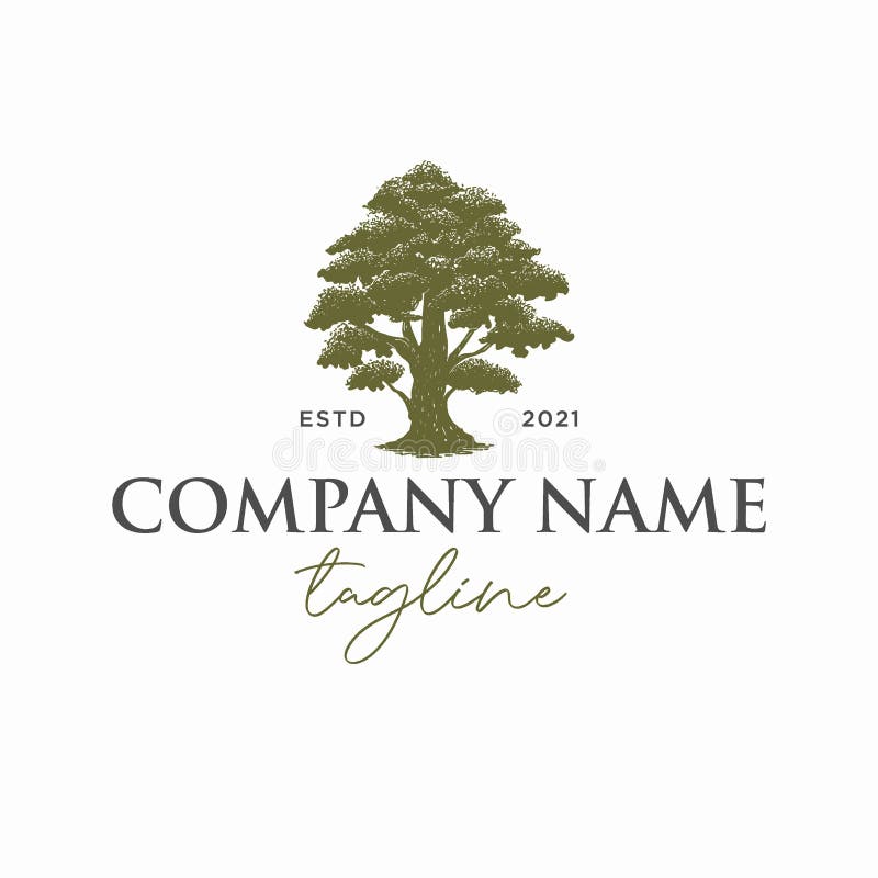 Tree Logo Design. Landscape Logo with Hand Drawn Tree Vector. Stock ...