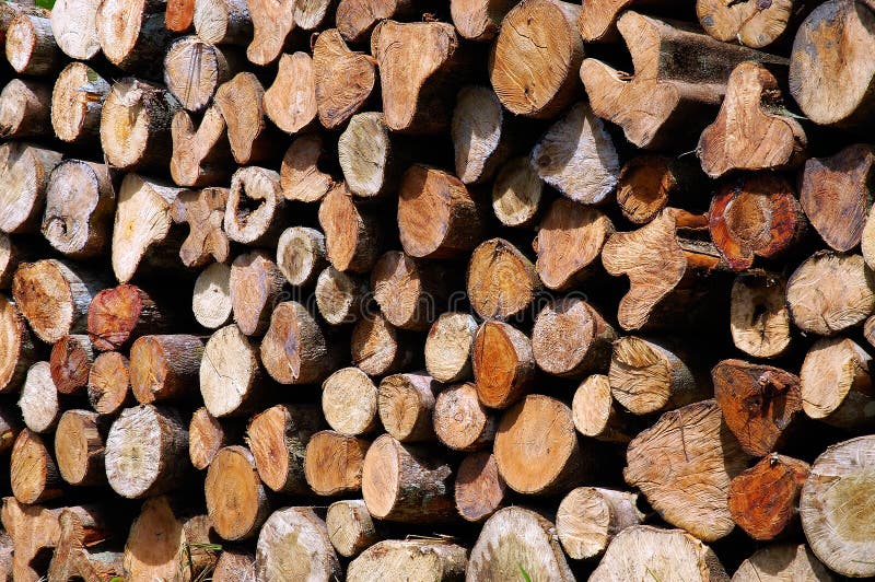 Tree logs background stock photo. Image of trees, abstract - 14913826