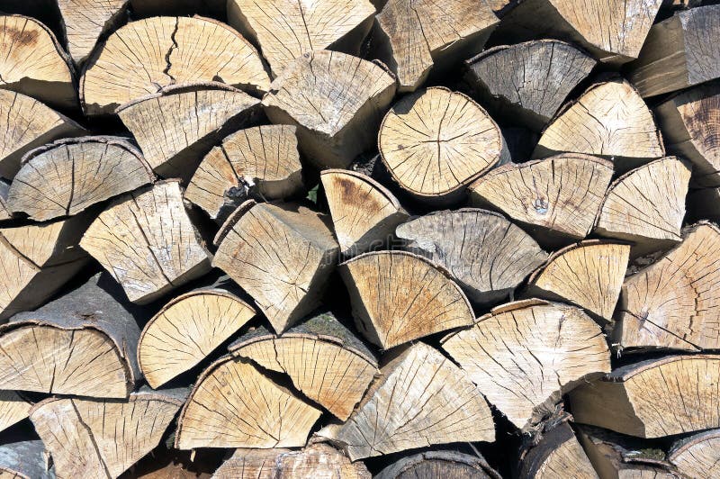 Tree logs stock image. Image of timber, trunk, forest - 33031311