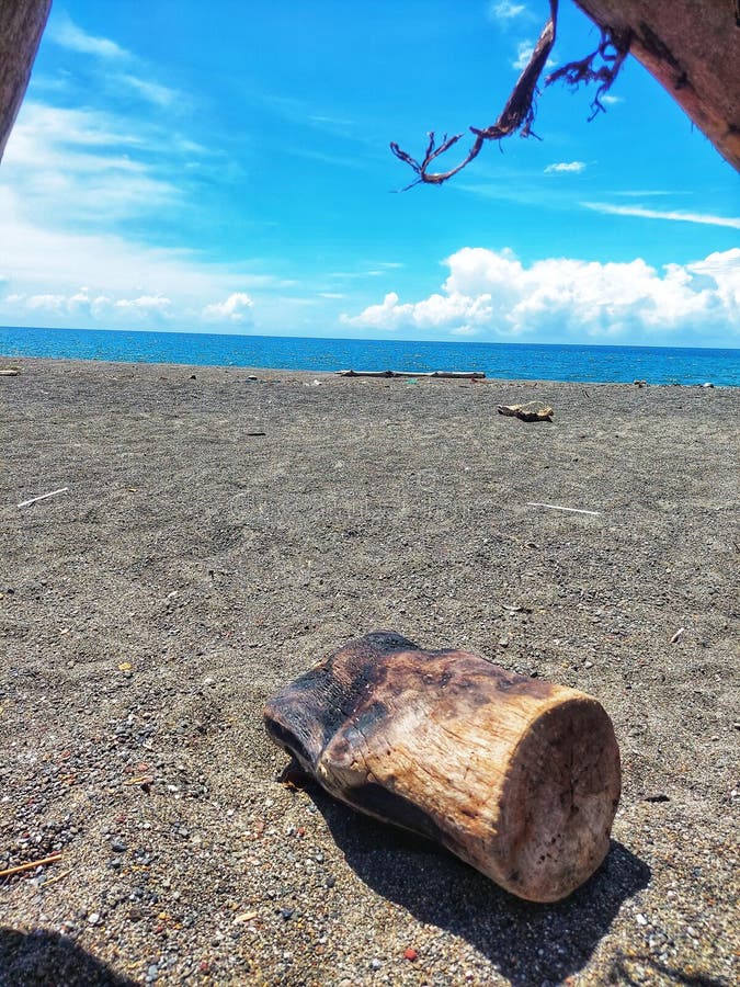 Tree Logs on Beach Sand at Lapasi Beach, North Maluku, Indonesia Stock ...