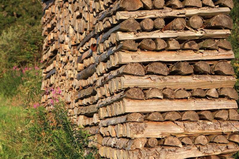 Tree logs stock photo. Image of wooden, resource, forest - 44324934