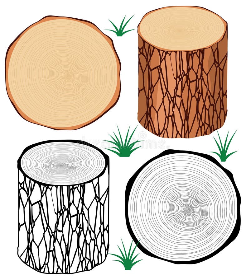 Tree logs, vector stock vector. Illustration of rough - 49953194