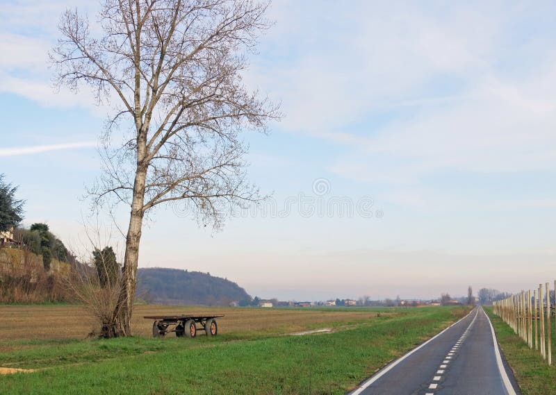 Tree and a Long Newly Asphalted Cycle Path in the Middle of the Plain ...