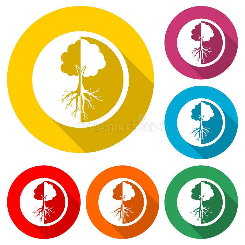 Long Roots Stock Illustrations – 278 Long Roots Stock Illustrations ...