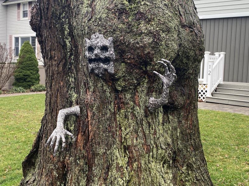Tree Looks Like it Has a Monster Inside of it Stock Photo - Image of ...