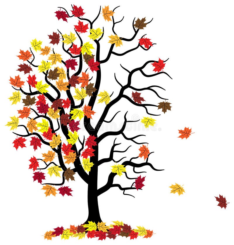 Tree loses fall foliage stock vector. Illustration of autumn - 61689183