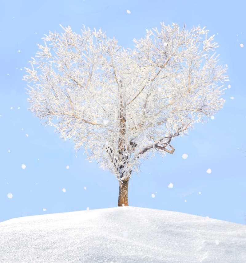 Tree of love stock image. Image of cloudless, outdoors - 27905939