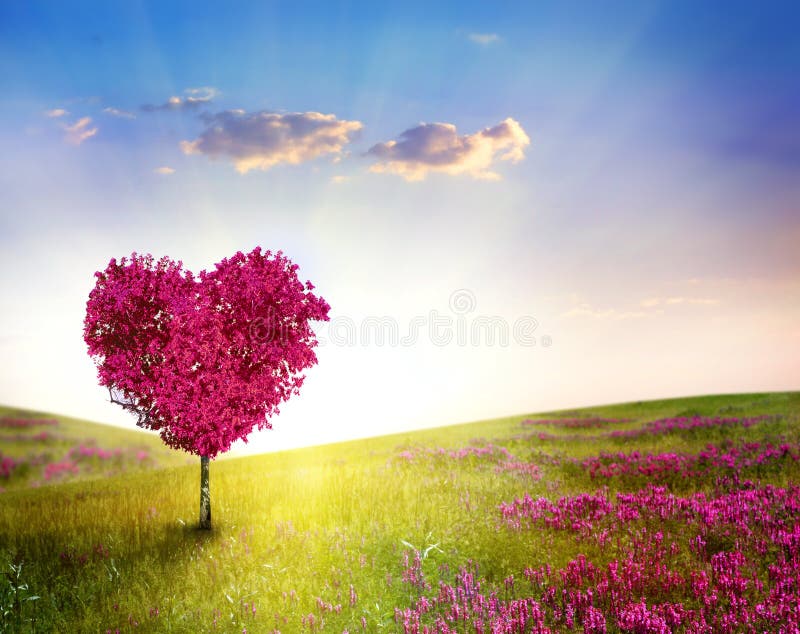 Tree of love stock image. Image of landscape, nature - 37616637