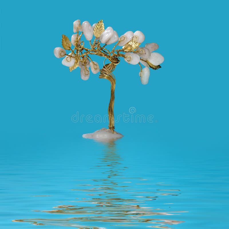 Tree of Luck in Water Growing Stock Image - Image of isolated, branch ...