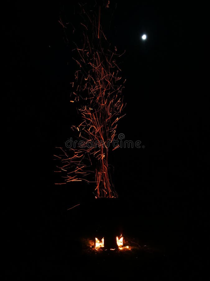 Tree made of fire stock photo. Image of trrr, tree, fire - 143902830