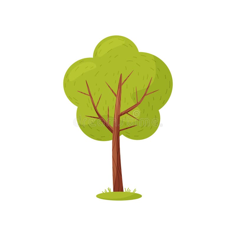 Tree With A Magnificent Crown On A White Background. Vector ...