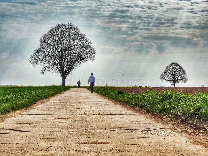Tree and man stock photo. Image of sunlight, flower - 184361896
