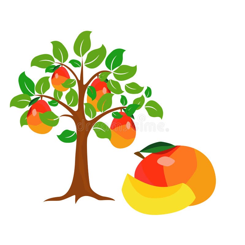A Tree of Mango. Vector Symbol, Abstract, Icon, Element, Stock Vector ...
