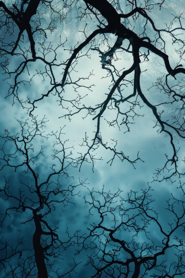 A Tree with Many Branches and Leaves, but the Leaves are Mostly Gone ...