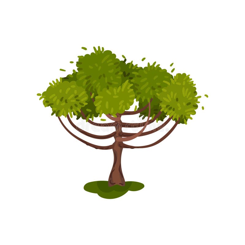 Thin Tree Branches Stock Illustrations – 886 Thin Tree Branches Stock ...