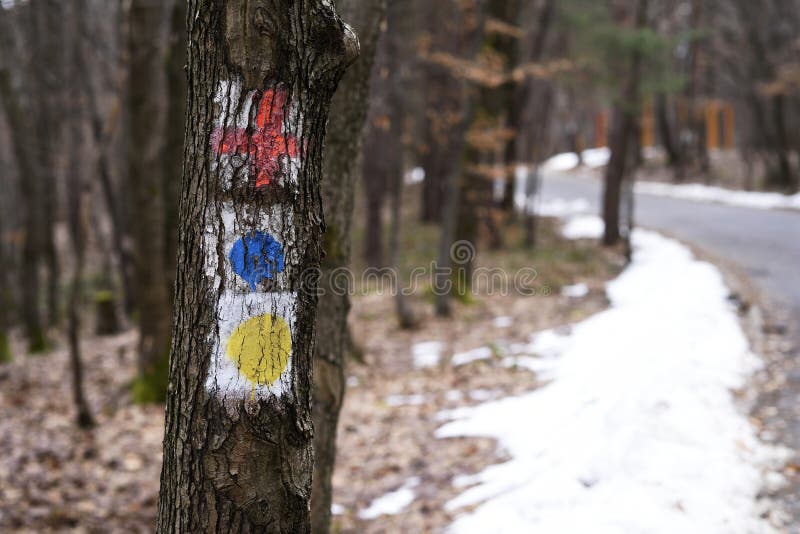 A Tree Marked with a Tourist Sign Editorial Image - Image of pointing ...