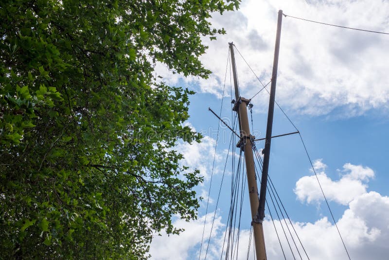 Tree, mast and sky stock image. Image of trees, environment - 149139731