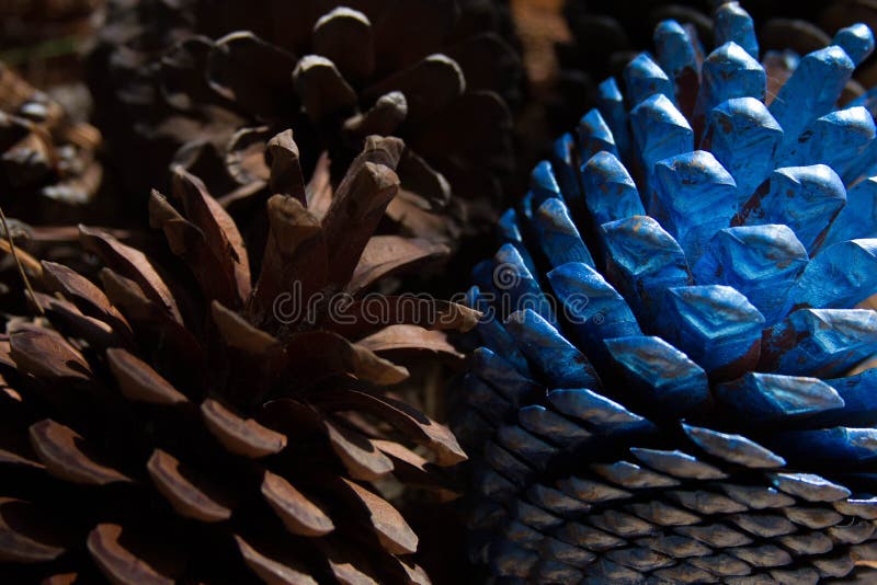 Tree, Material, Computer Wallpaper Picture. Image: 132274921