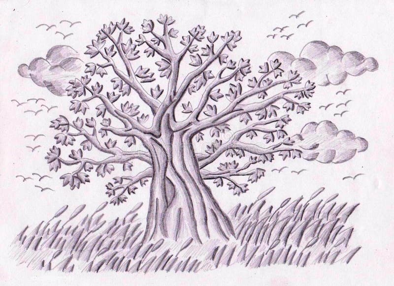 Hatching Technique Stock Illustrations – 286 Hatching Technique Stock ...