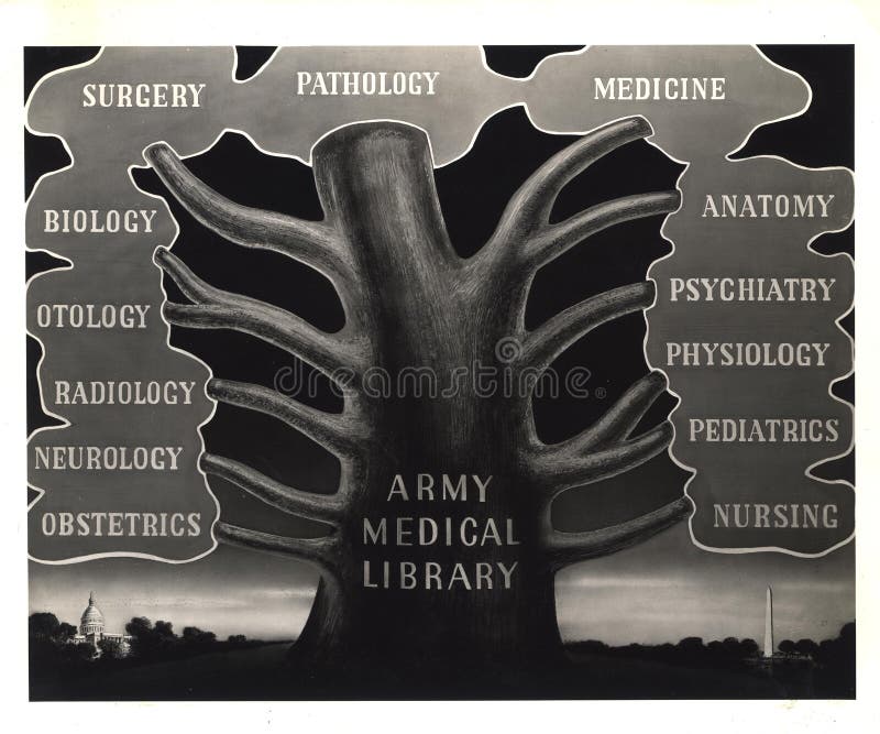 Tree Of Medical Knowledge Picture. Image: 222389916