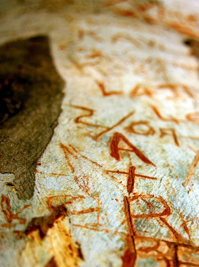 Tree Message stock photo. Image of bark, adventure, chisel - 7689632