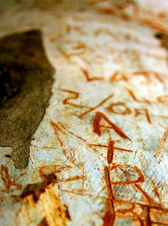 Tree Message stock photo. Image of bark, adventure, chisel - 7689632