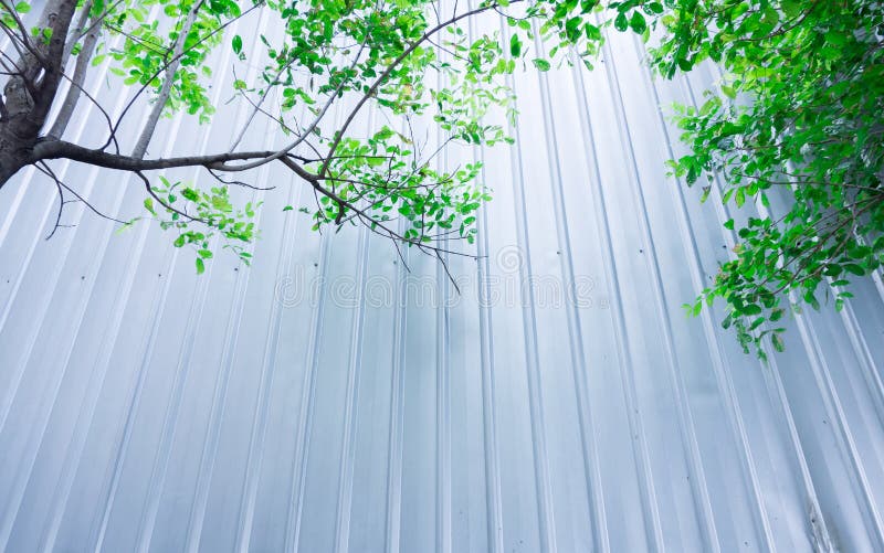 Tree with Metal Sheet at Construction Site, Eco Construction Stock ...