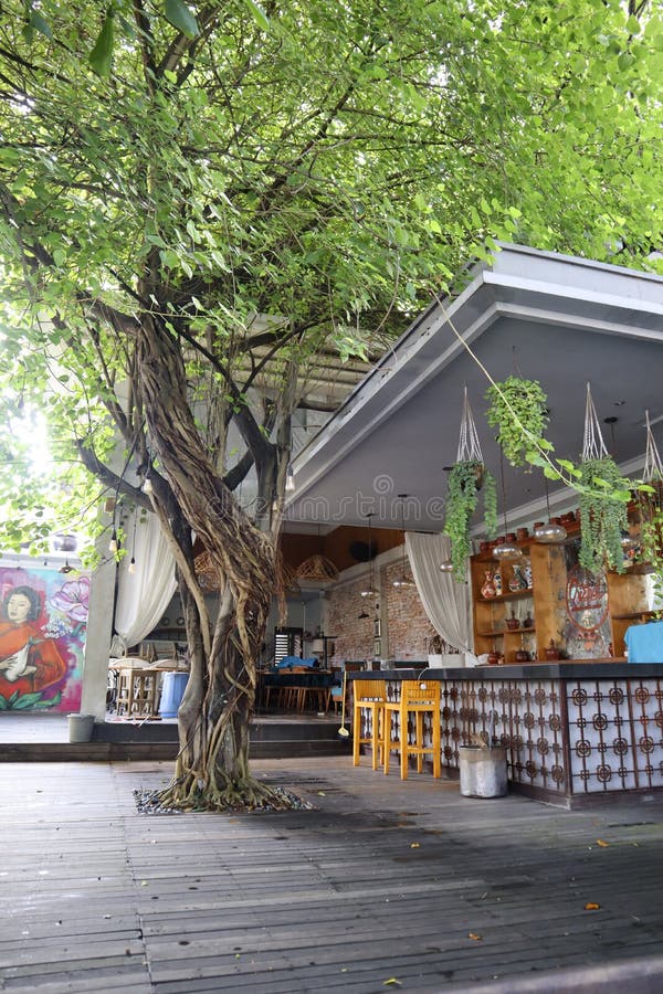 Tree in the Middle of Abandoned Restaurant Editorial Photography ...