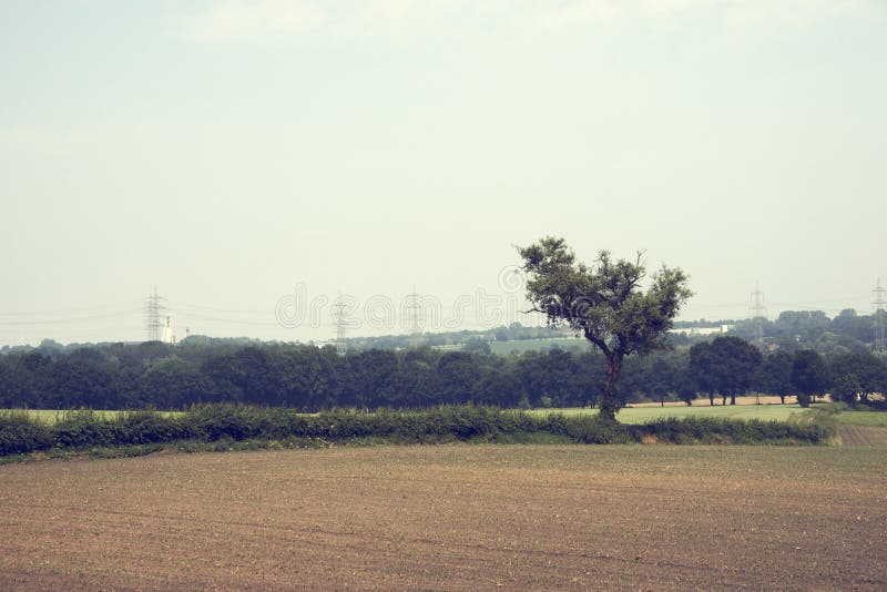 Tree in a Middle of a Field Stock Image - Image of middle, plant: 126747799