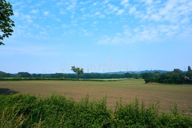 Tree in a Middle of a Field Stock Image - Image of landscape, clouds ...