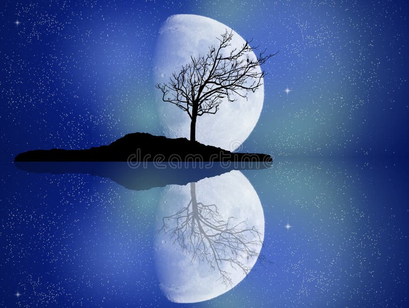 Tree in the mirror stock illustration. Illustration of water - 92038752