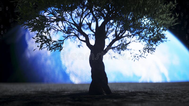Tree on the Moon in Outer Space. 3d Rendering. Stock Illustration ...