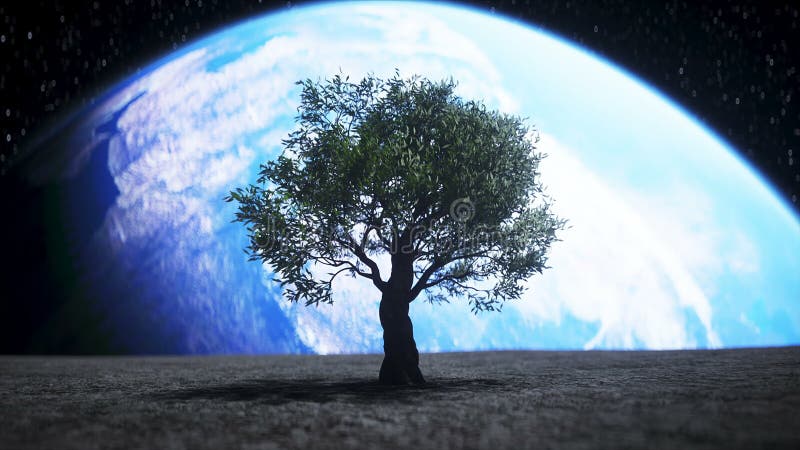 Tree on the Moon in Outer Space. 3d Rendering. Stock Video - Video of ...