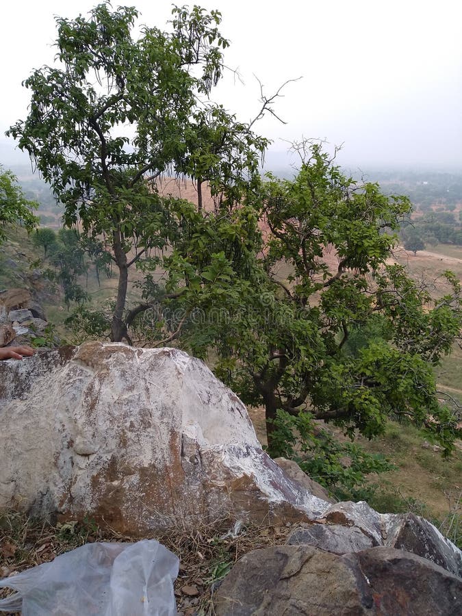 Tree and Mountain Natural Resources Stock Photo - Image of village ...