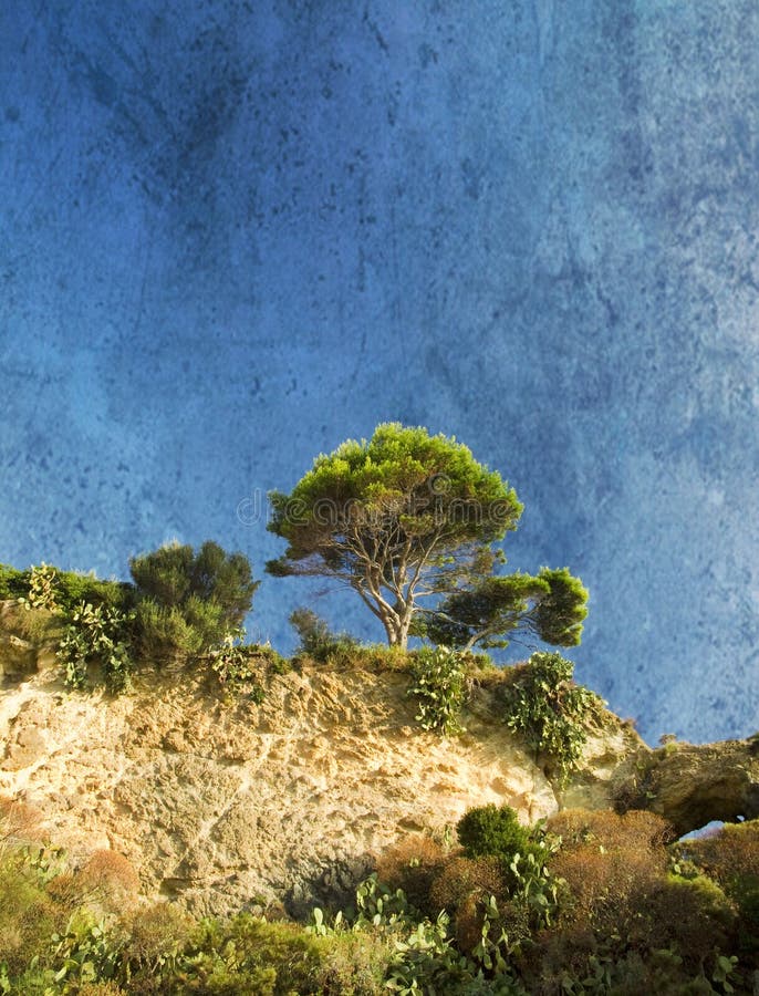 Tree on a Mountain Top stock image. Image of landscape - 22567881