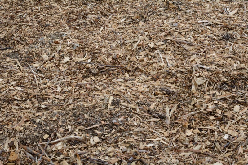 Tree Mulch Gardening Background Stock Image - Image of plant, wood ...