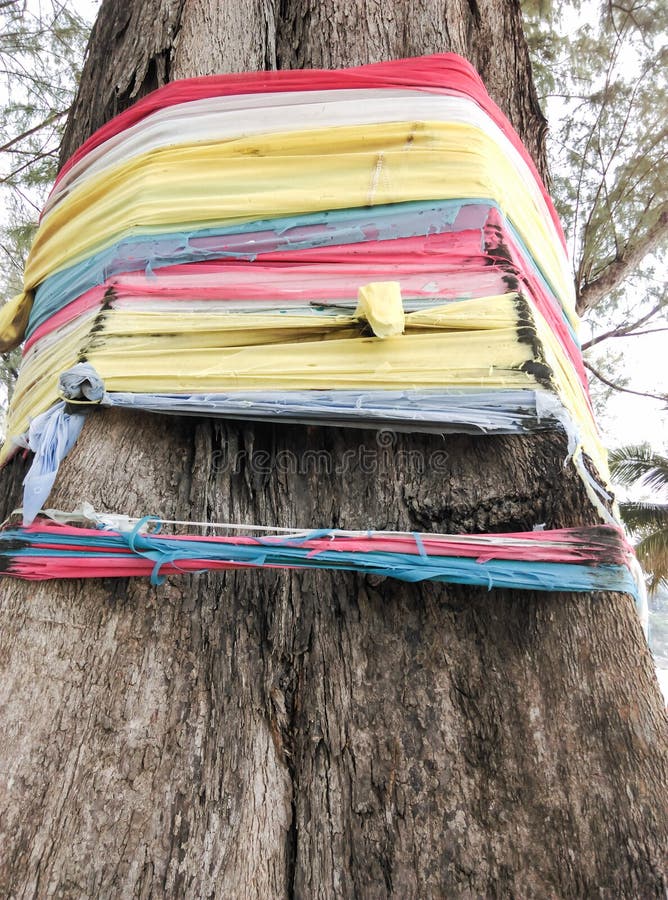 Tree with Multi-colored Cloth Wrapped Stock Photo - Image of tree, base ...