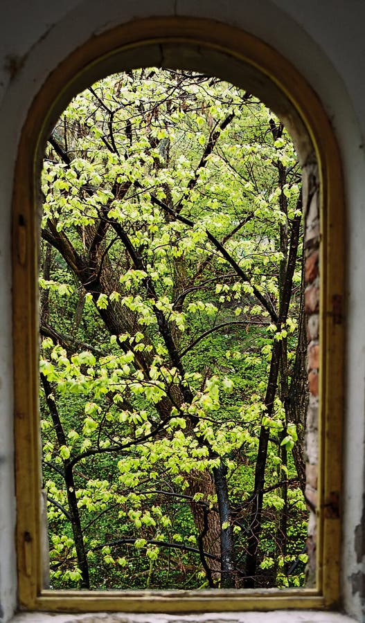 35,646 Outside Tree Window Stock Photos - Free & Royalty-Free Stock ...