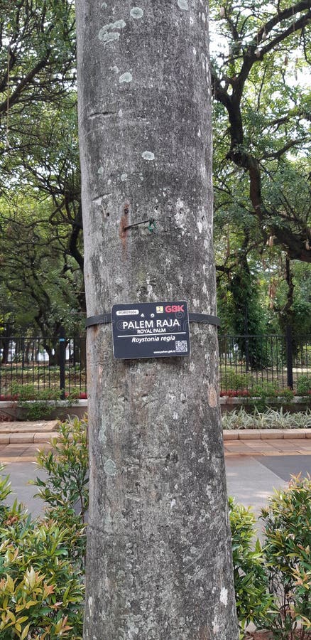 Landscape Jakarta editorial photo. Image of tree, jakarta - 133759061