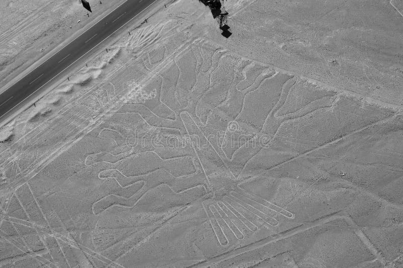 The Tree - Nasca Lines - Peru Stock Image - Image of ancient, culture ...