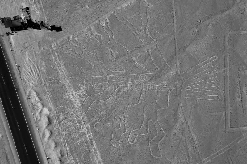 The Tree - Nasca Lines - Peru Stock Photo - Image of ancient, airplane ...