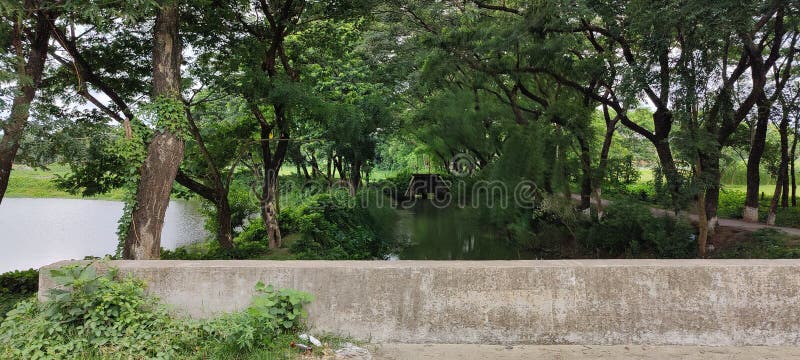 Tree and Natural Scenery Image in the Village Stock Image - Image of ...