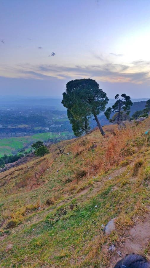 Steep mountain stock image. Image of steep, tree, nature - 116393359