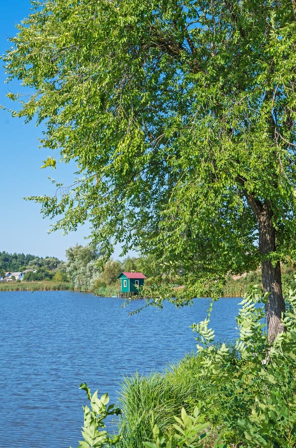 Tree near pond stock photo. Image of outdoors, relaxation - 82914230