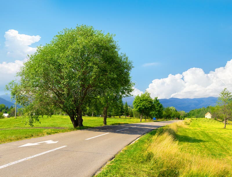Tree near the road stock image. Image of highlands, empty - 166075643