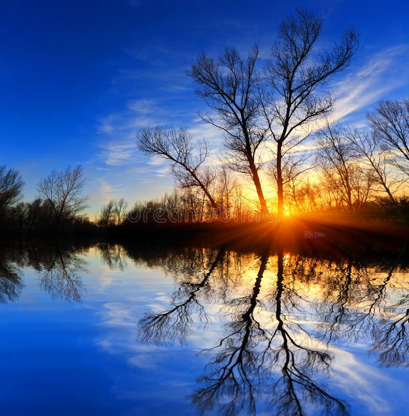 545,621 Tree Reflection Water Photos - Free & Royalty-Free Stock Photos ...