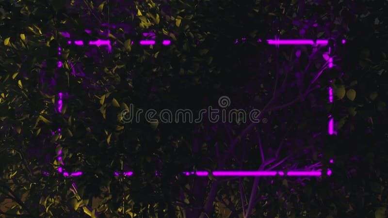 Tree with a Neon Frame at Night Stock Video - Video of abstract ...